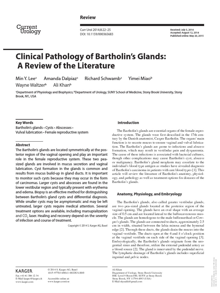 Clinical Pathology of Bartholin's Glands: A Review of The Literature ...