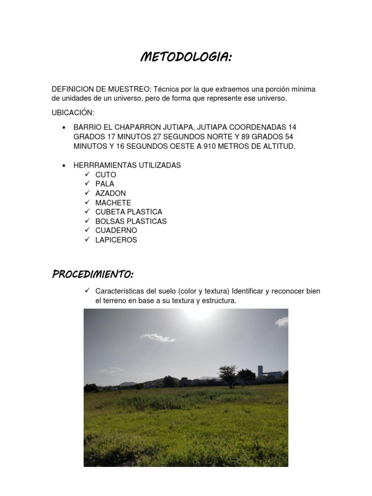 Muestreo y Análisis Edafológico del Suelo | PDF | Suelo | Muestreo ...