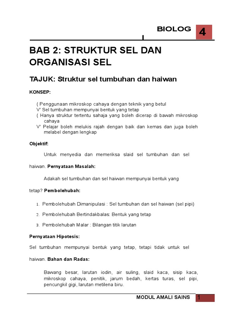 Amali Biologi Tingkatan 4 | PDF