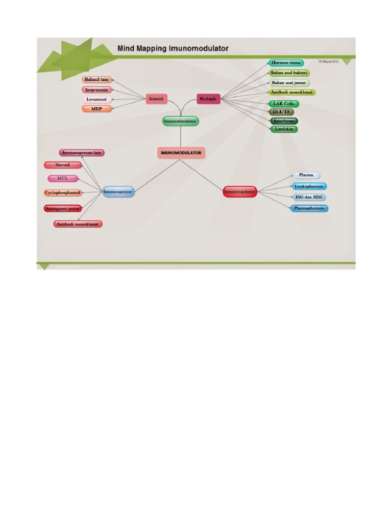 Mind Mapping Imunomodulator | PDF