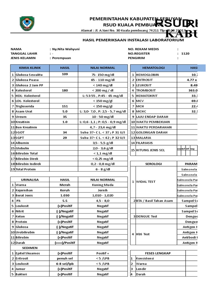 Lembar Hasil Lab Ok' | PDF