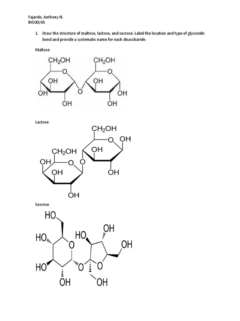 Fajardo, Anthony N. BIO20/A5 1. Draw The Structure of Maltose, Lactose ...