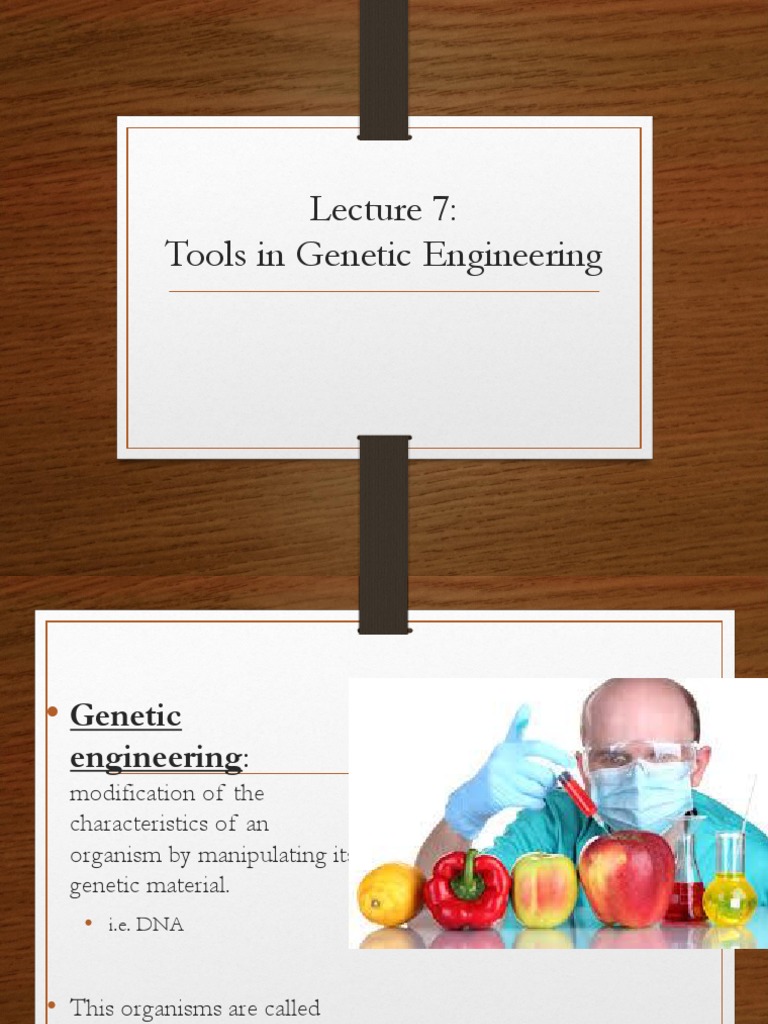 Tools in Genetic Engineering | PDF | Genetically Modified Organism | Ploidy