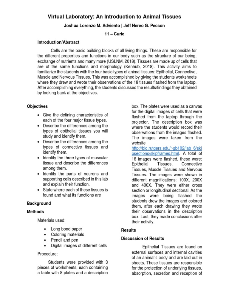 Virtual Lab Intro to Animal Tissues | PDF | Epithelium | Tissue (Biology)