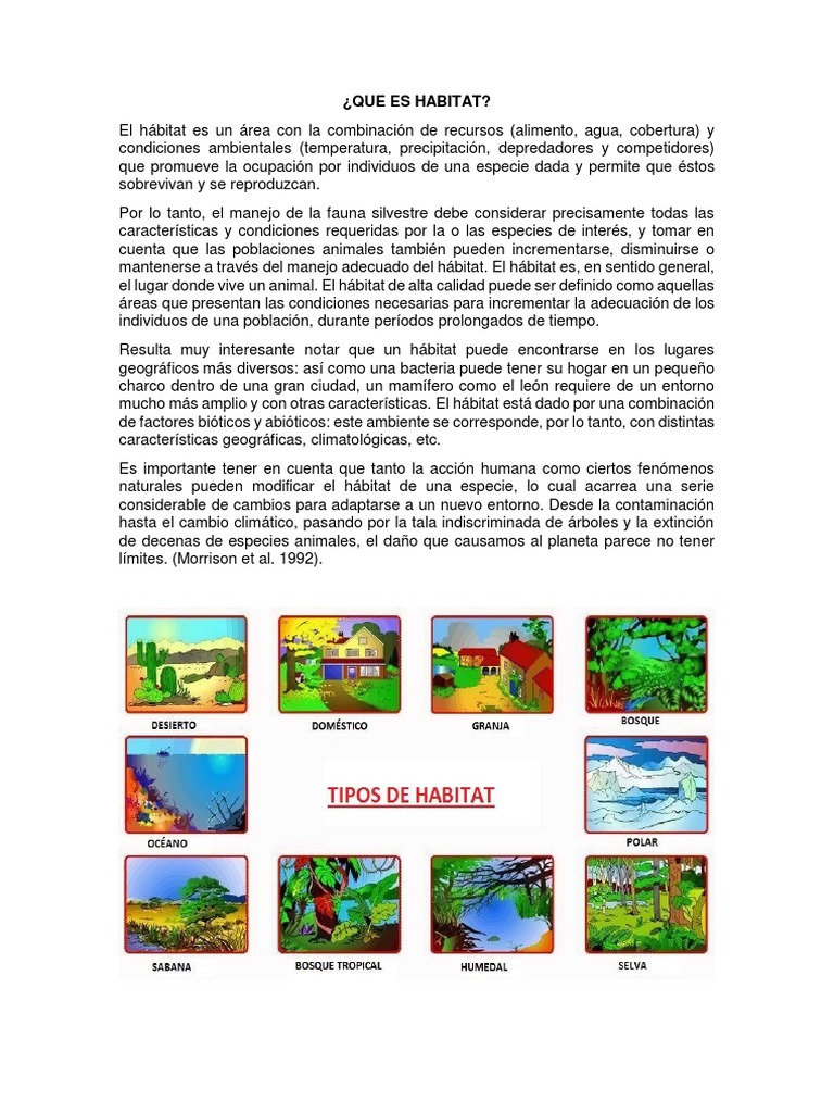 Que Es Habitat | PDF | Habitat | Ecología