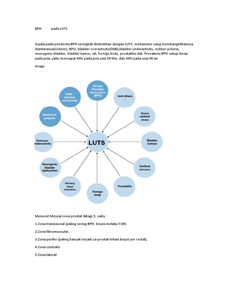 BPH Pada Luts | PDF