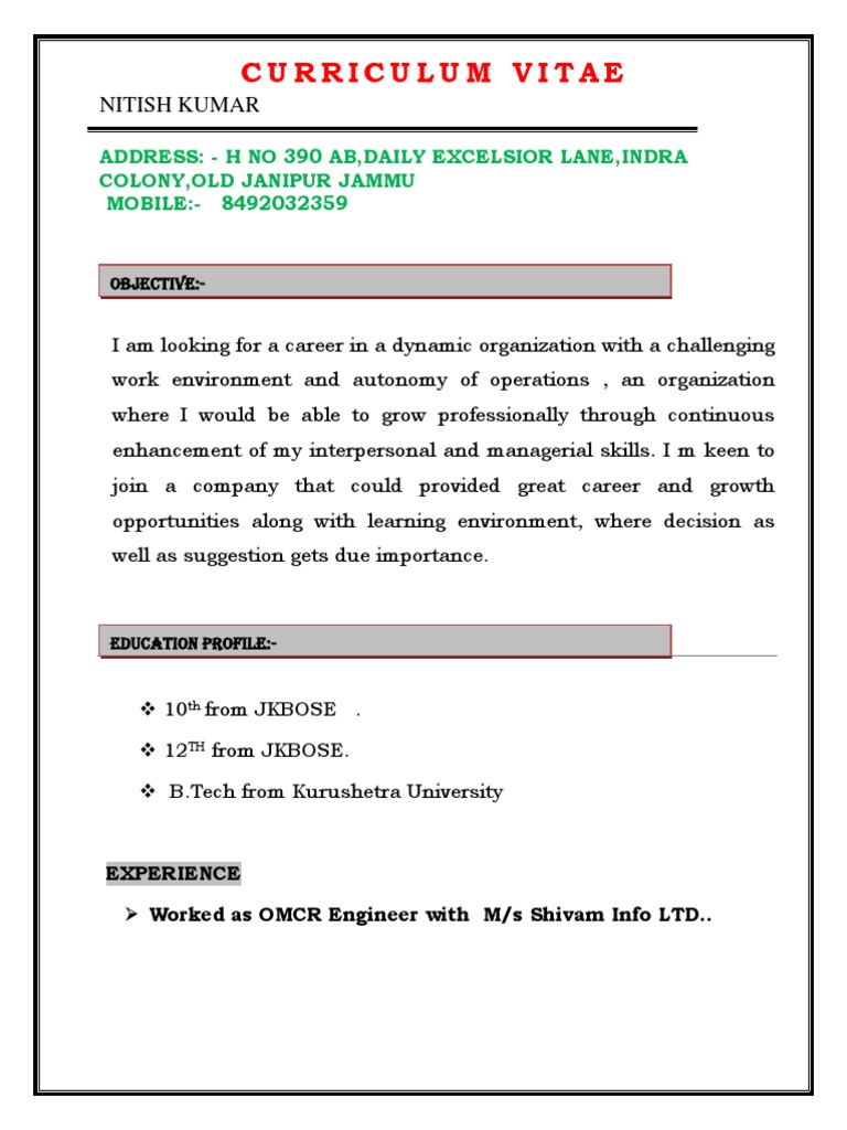 Curriculum Vitae: Nitish Kumar | PDF | Career & Growth