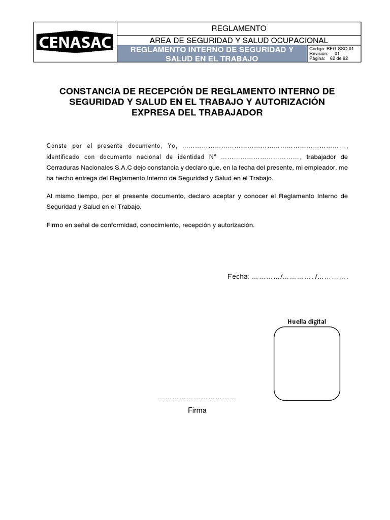 Constancia de Recepción de Risst Cenasac | PDF