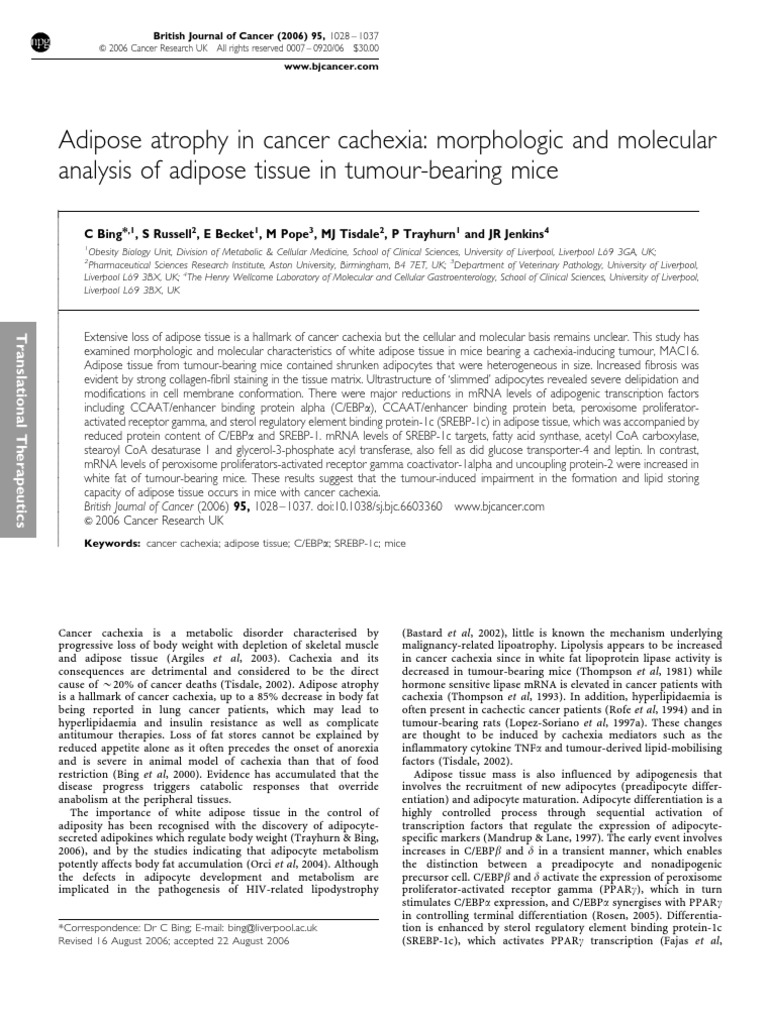 Adipose Atrophy in Cancer Cachexia Morphologic and Molecular Analysis ...