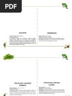 Glosario Plantas Medicinales | PDF | Phaseolus Vulgaris | Plantas ...