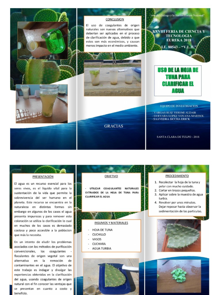 Triptico para Imprimir Fencyt | PDF