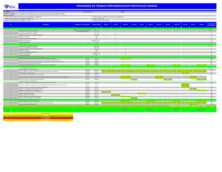 Programa Implementacion Protocolos MINSAL | PDF | Salud y bienestar | Medicina