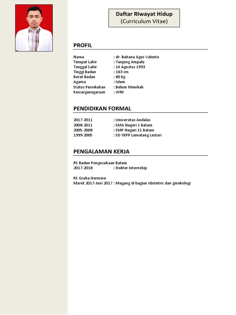 Cv Bagus Pdf