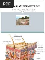 Morfologi Lesi Kulit: Jenis dan Ciri | PDF