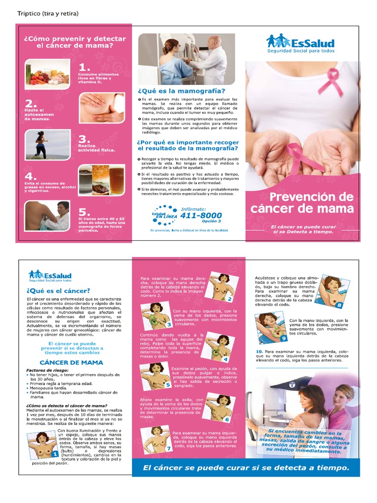 Triptico Cancer de Mama | PDF