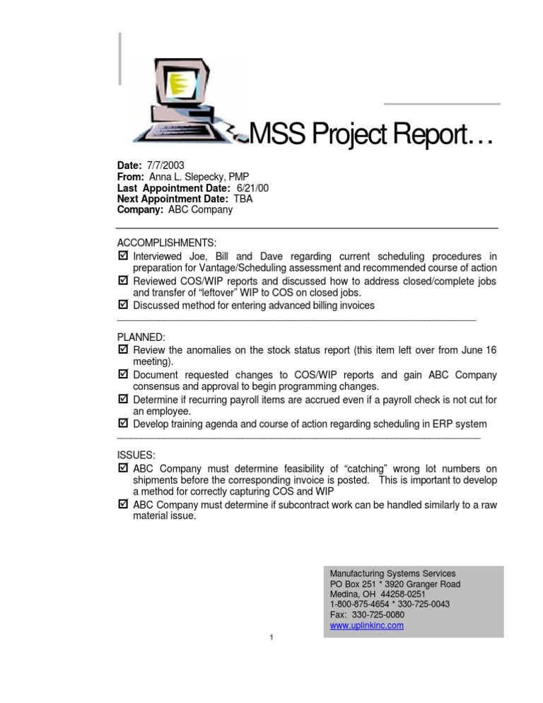 MSS Project Report Overview and Insights | PDF | Business | Finance ...