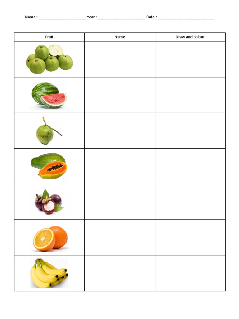 Fruit Drawing and Coloring Activity | PDF | Social Science