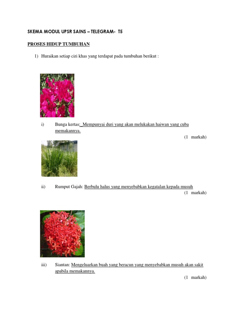 Skema Modul Sains Upsr Tahun 5 | PDF