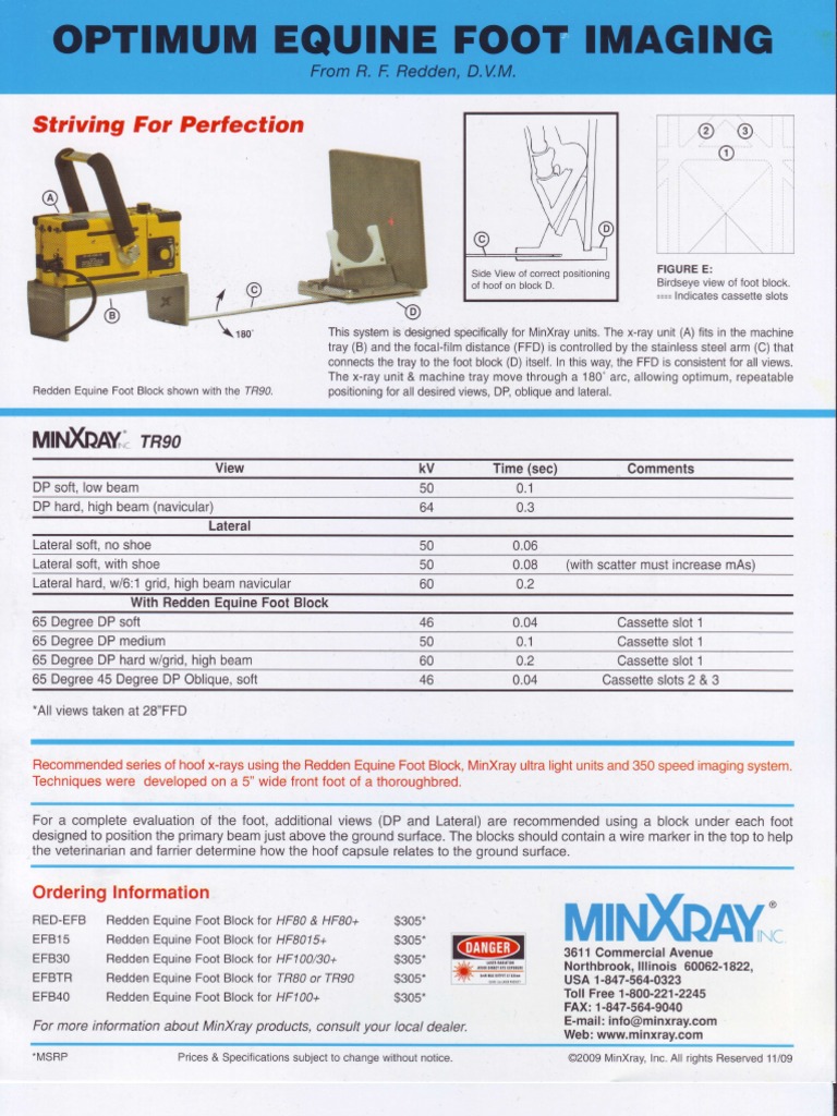 Redden Foot Block | PDF | Applied And Interdisciplinary Physics | Nature