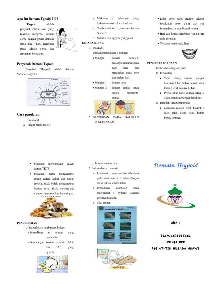 Leaflet Thypoid | PDF