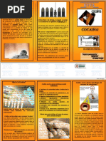 Triptico - DROGAS | PDF | Drogas | Cocaína