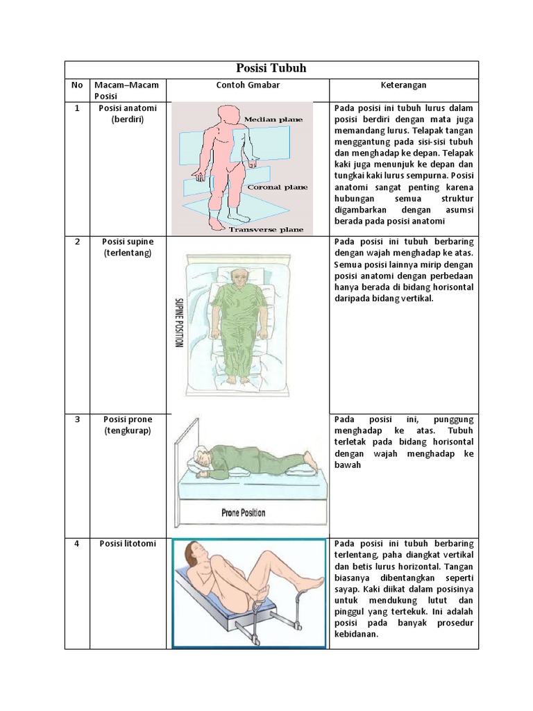 9843 - Posisi Tubuh | PDF