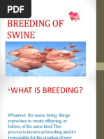 Project Proposal Swine Raising | PDF | Pig | Domestic Pig