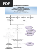 UTI Pathophysiology Flowchart | PDF