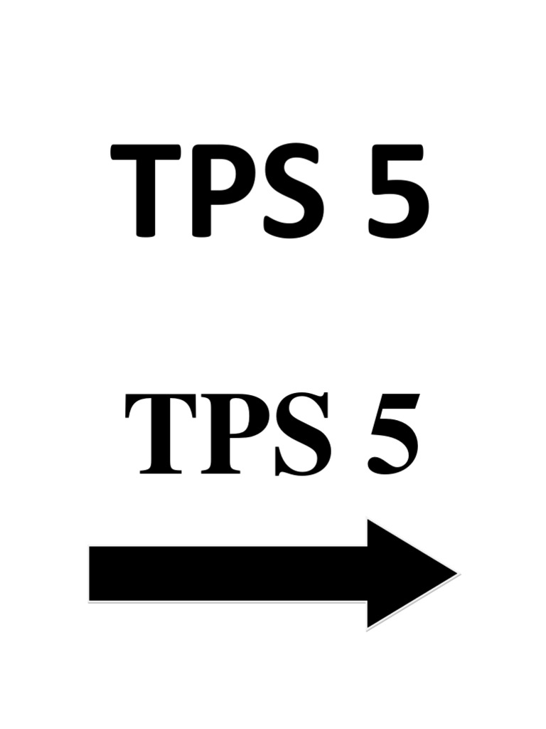 TPS 5 | PDF