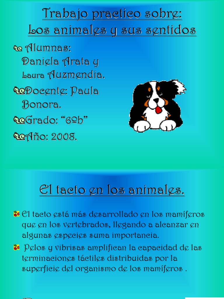 Los Animales y Sus Sentidos | PDF
