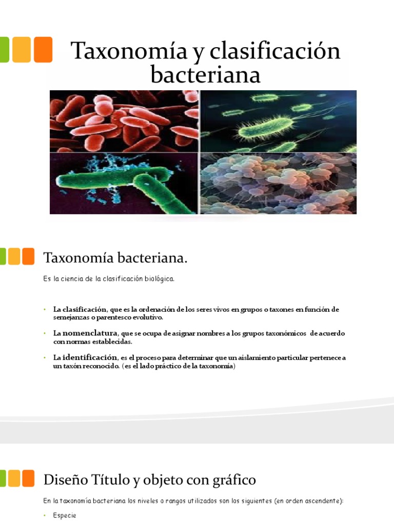 Toxonomía y Clasificación Bacteriana | PDF | Taxonomía (biología ...