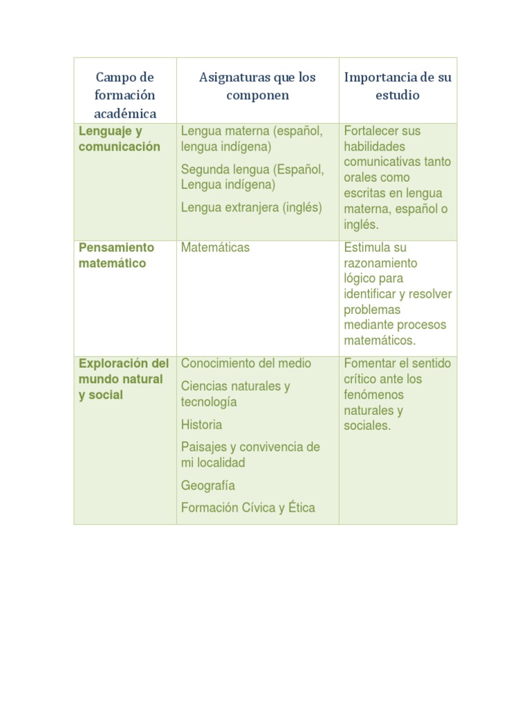 Actividad 2. Mapa General de 1° | PDF