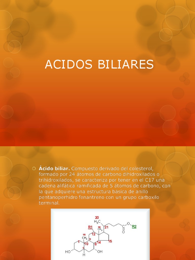 Acidos Biliares | PDF | Bilis | Vesícula biliar