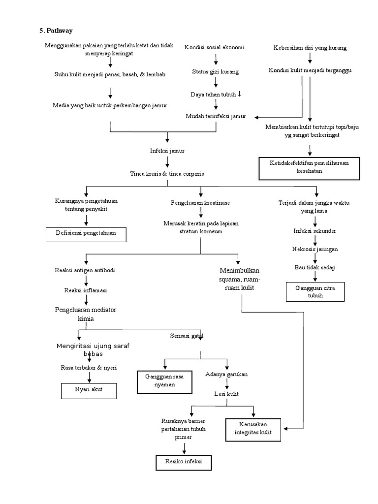 Pathway Ulkus Cruris | PDF