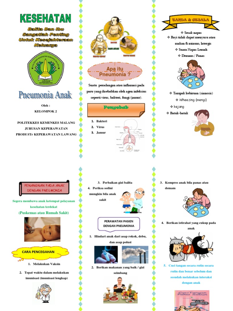 Leaflet Pneumonia | PDF