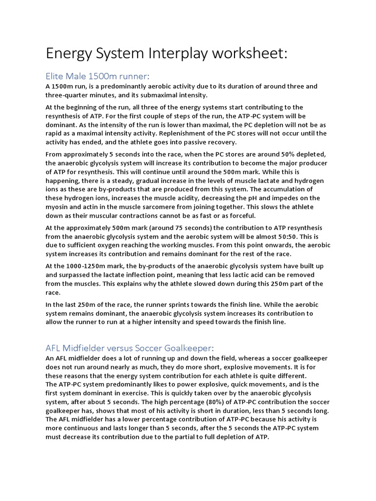 Energy System Interplay Worksheet | PDF | Dance Science | Physiology