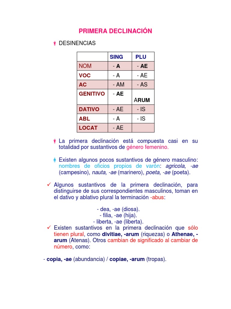 Primera Declinación en Latín | PDF