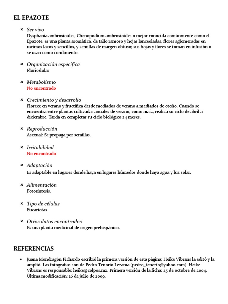 El Epazote | PDF | Organismos | Biología