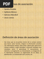 Circunvolución Angular | PDF