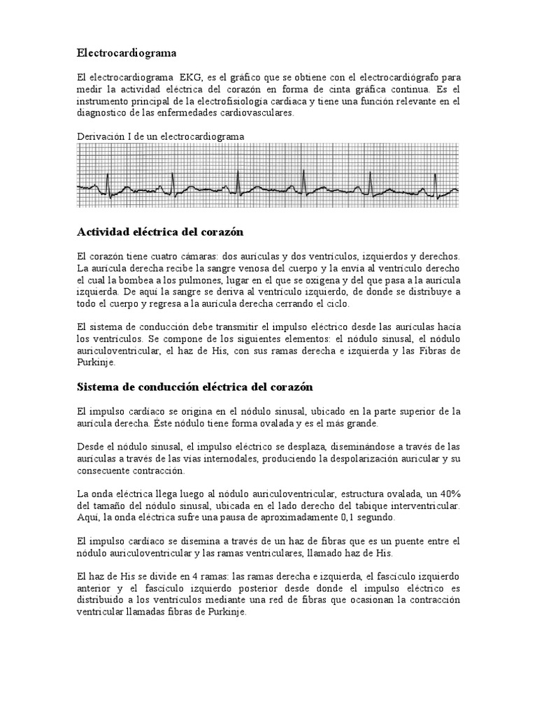 Informe de Electrocardiograma EKG | PDF | Electrocardiografia ...