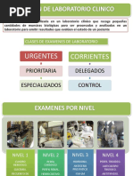 Códigos CPT - Laboratorio | PDF | Sangre | Transaminasa