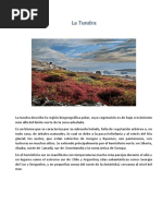 DESIERTO | PDF | Desierto | Tierra