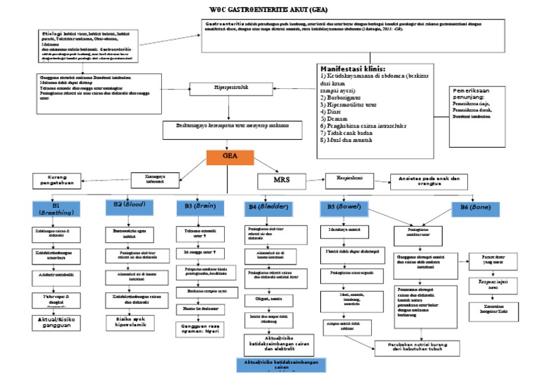 Woc Gastroenteritis Akut | PDF
