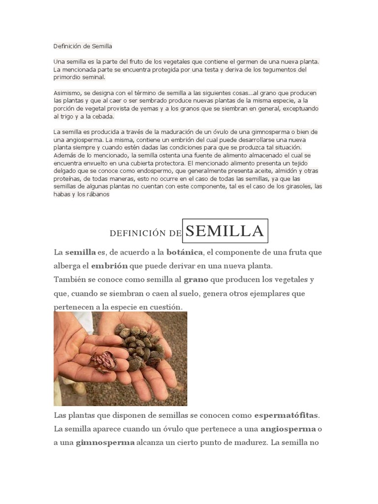 Definición de Semilla | PDF | Semilla | Plantas