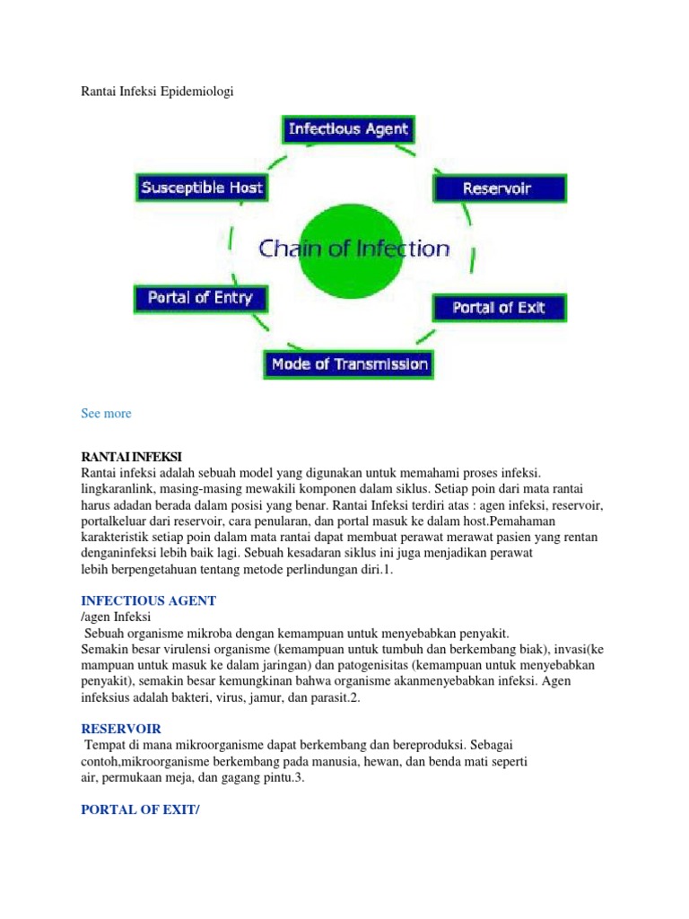 Rantai Infeksi Epidemiologi | PDF