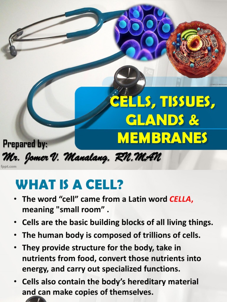 Cells and Tissues Overview | PDF | Tissue (Biology) | Cell (Biology)