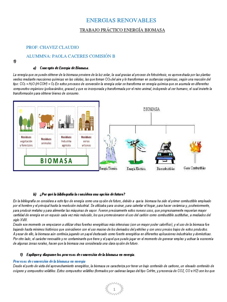 Concepto de Energía de Biomasa | PDF | Biomasa | Combustibles