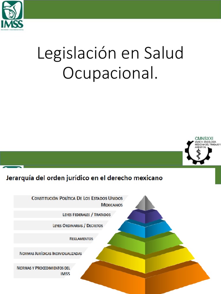 Correcto Llenado de ST-7 | PDF | Seguro | Esfera pública