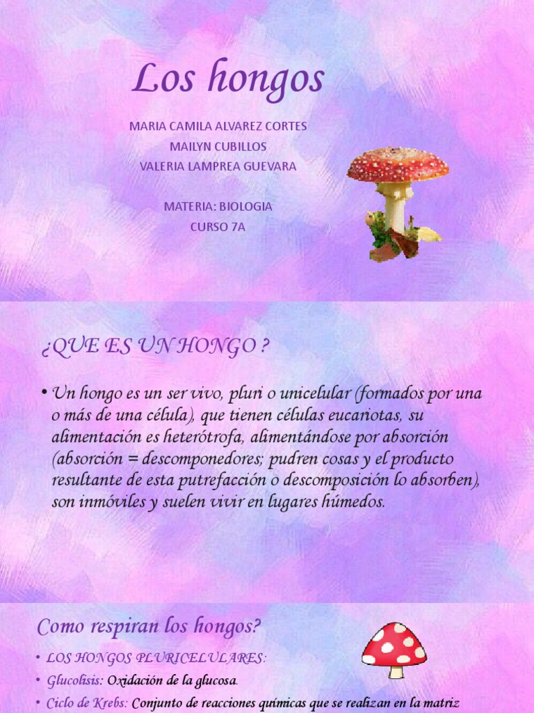 Características y Tipos de Hongos | PDF | Hongo | Descomposición