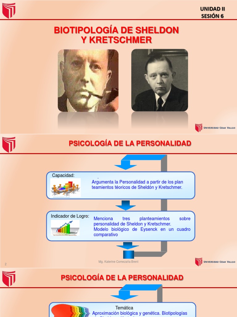 6 Biotipologías de Sheldon y Kresthmer | PDF | Psicología de la ...